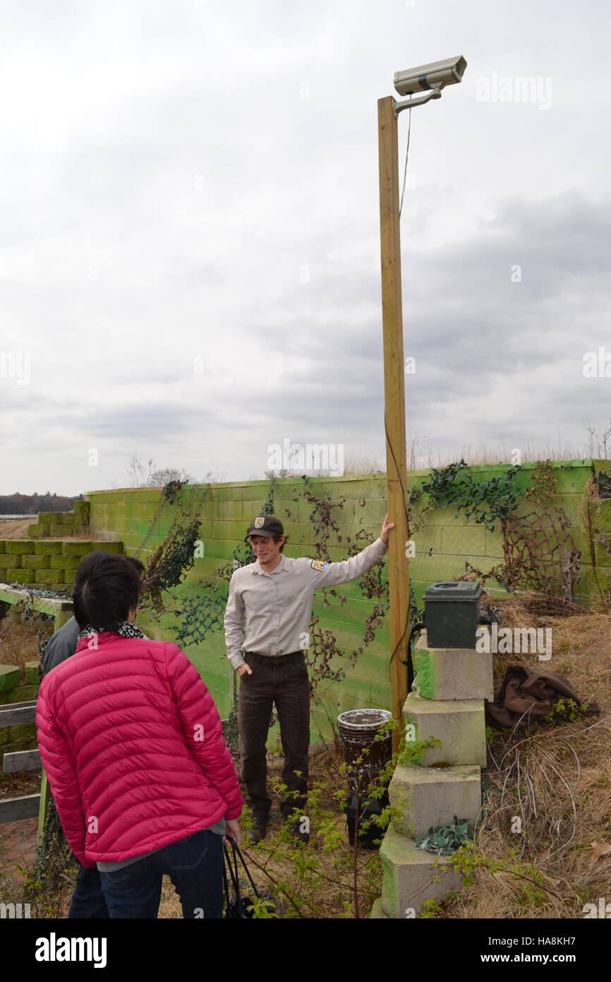 U s digital service hi-res stock photography and images - Alamy