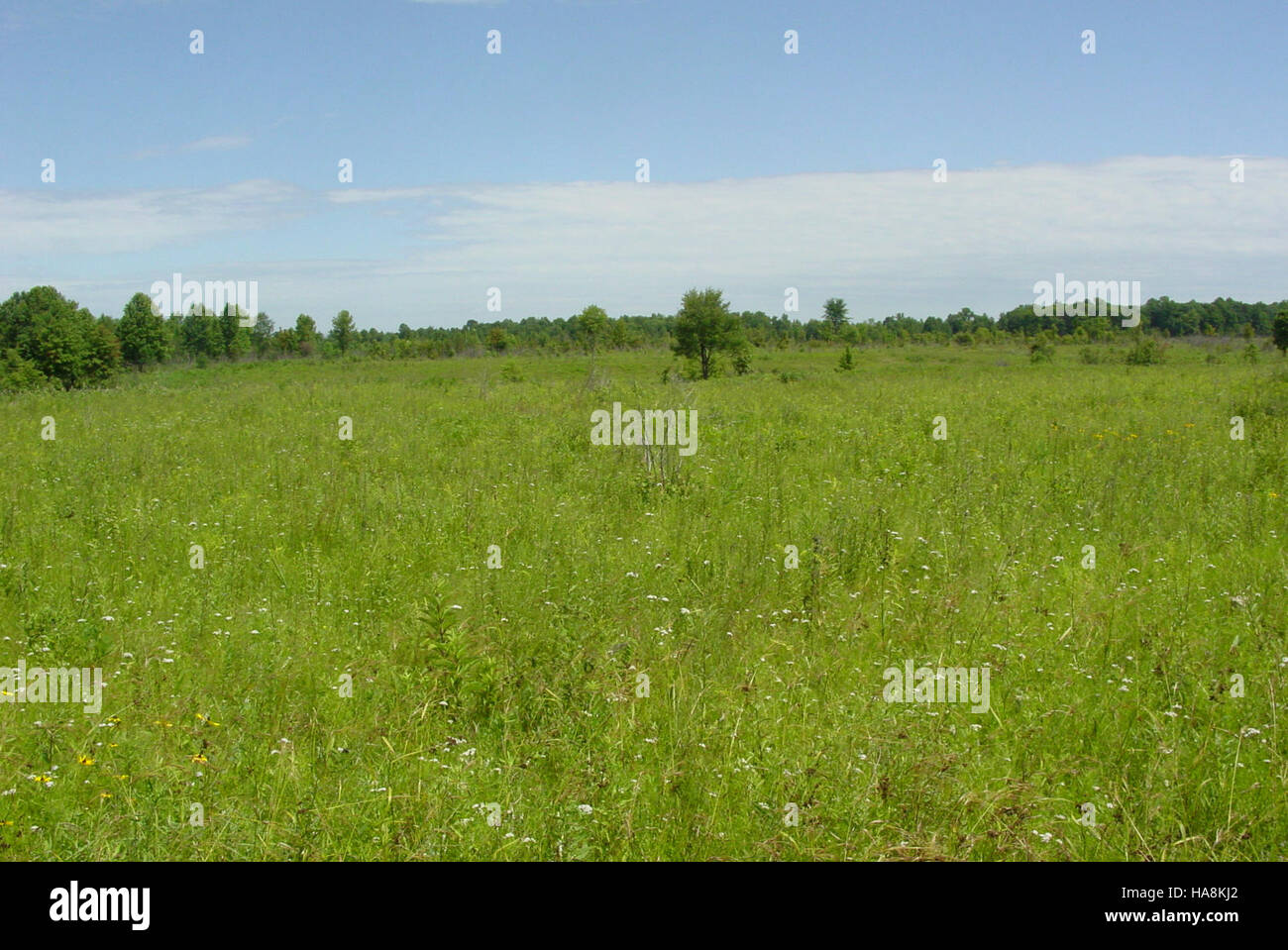 Big Oaks National Wildlife Refuge in Indiana is dedicated to preserving ...