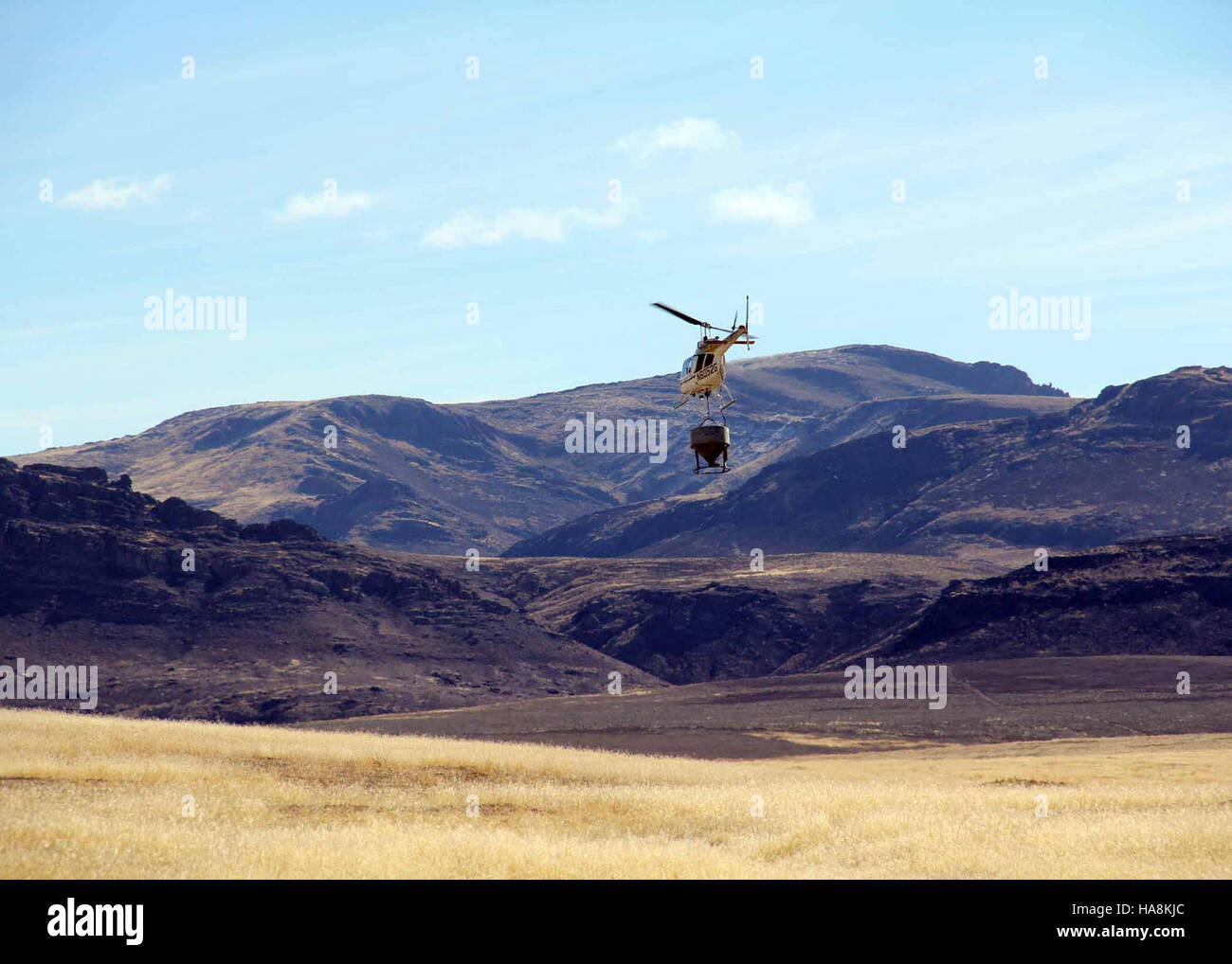 The Bureau of Land Management (BLM) used aerial seeding to restore the ...