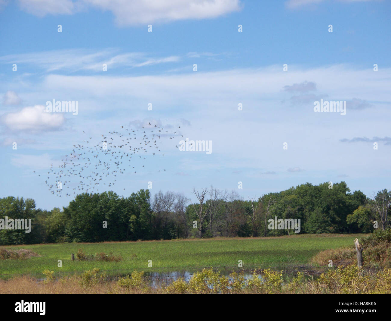 This image features Swan Lake National Wildlife Refuge, located in the ...
