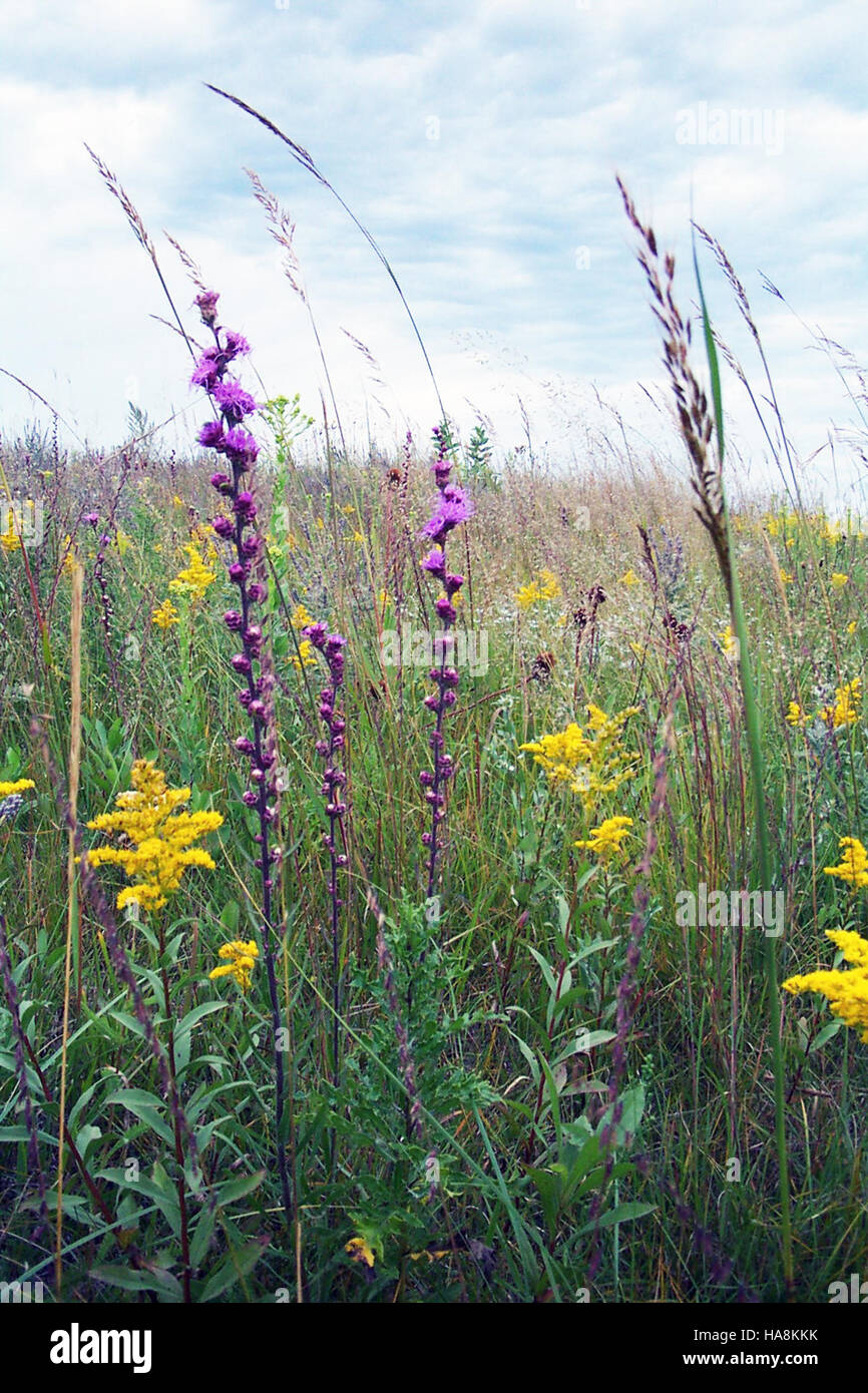 The Northern Tallgrass Prairie National Park represents one of the last ...