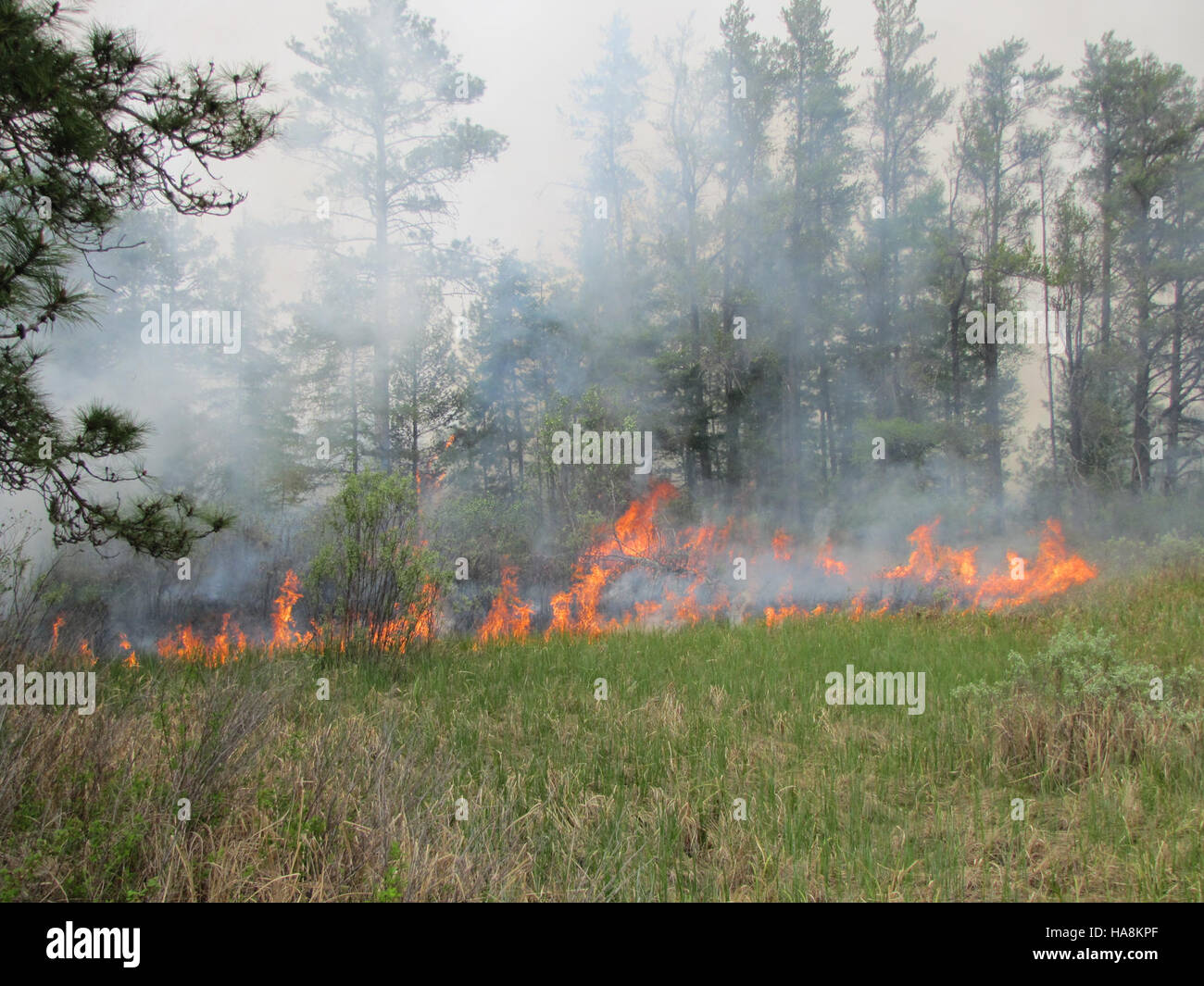 Back fire hi-res stock photography and images - Alamy