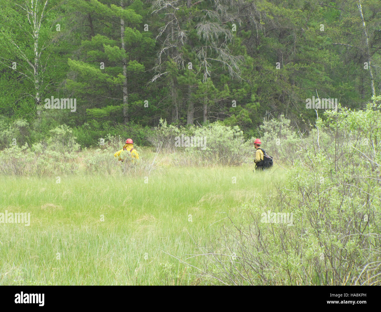 The Hand Crew in Action at a National Wildlife Refuge highlights the ...