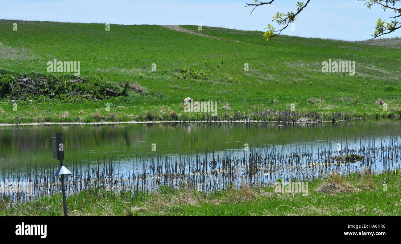 The Randall Waterfowl Production Area is a designated area for the ...