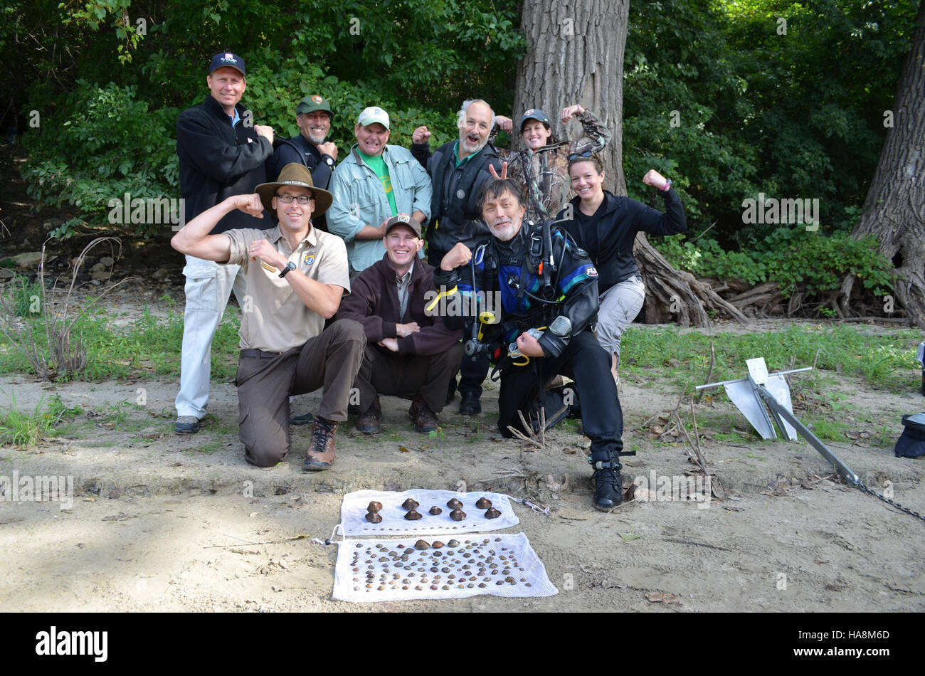 usfwsmidwest 7832527126 Mussel Team Shows Their Muscles Stock Photo - Alamy