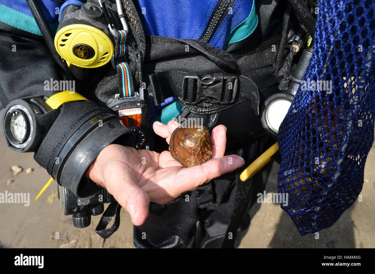 This image features a research diver in a National Park, conducting ...