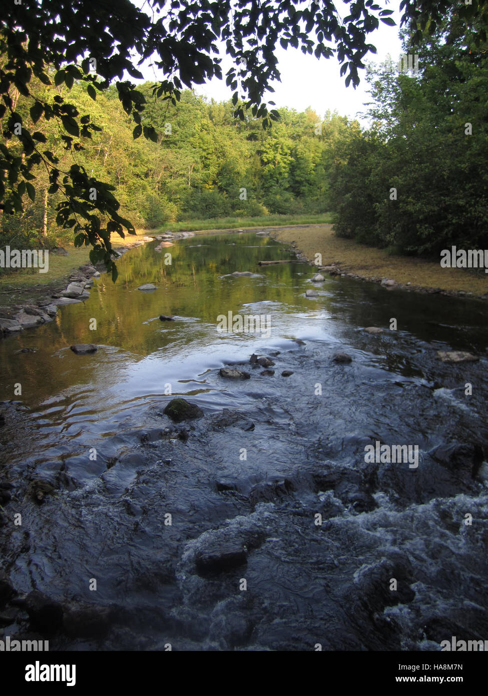 The ‘Perfect Stream’ image captures the pristine environment of a ...
