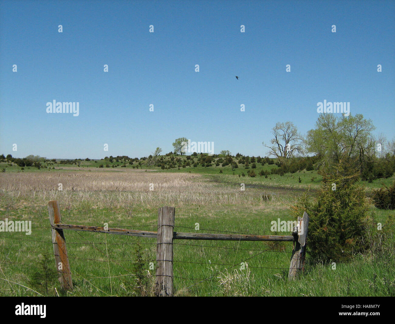 A rested pasture in a national park provides an example of land ...
