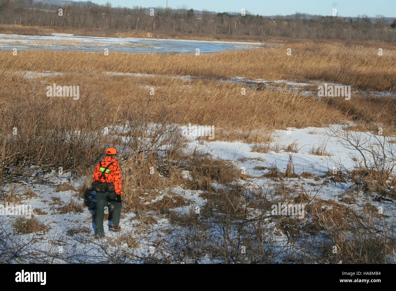 This image showcases the role of hunting in national parks ...