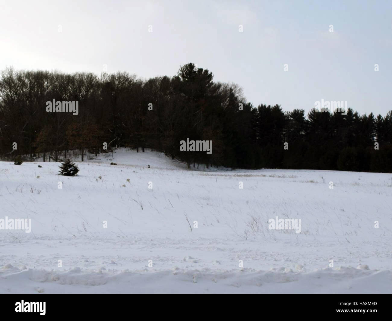 A snow-covered landscape in the Midwest National Park offers a serene ...