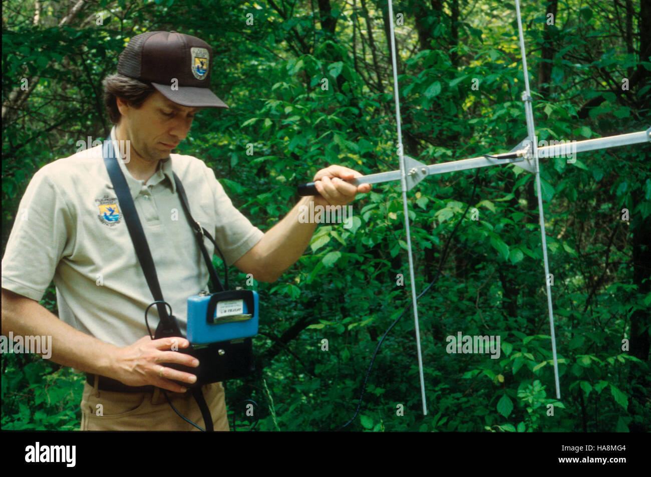 The use of radio telemetry to track Indiana bats in national parks aids ...