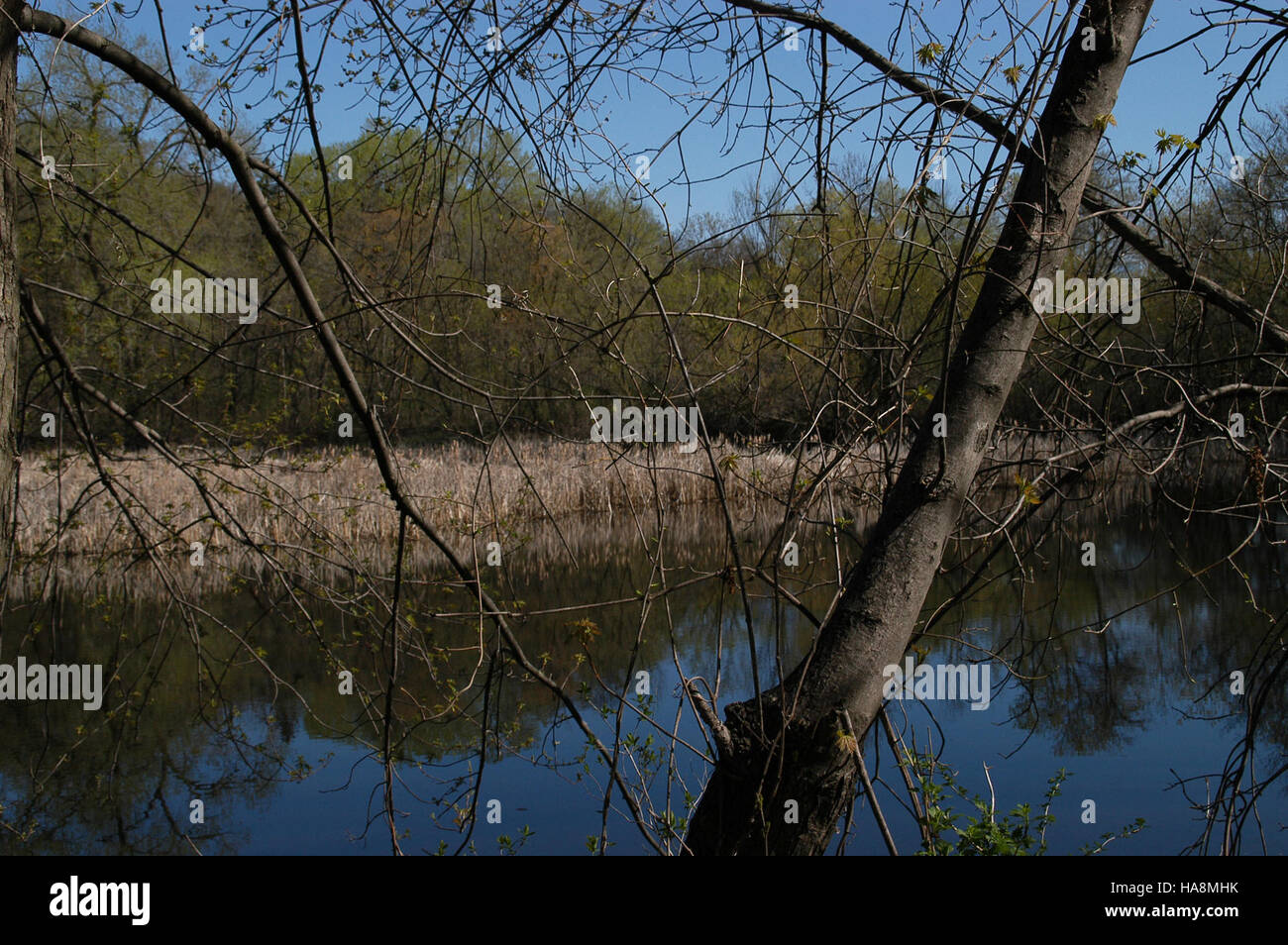 This image marks the arrival of spring at a Midwest National Wildlife ...