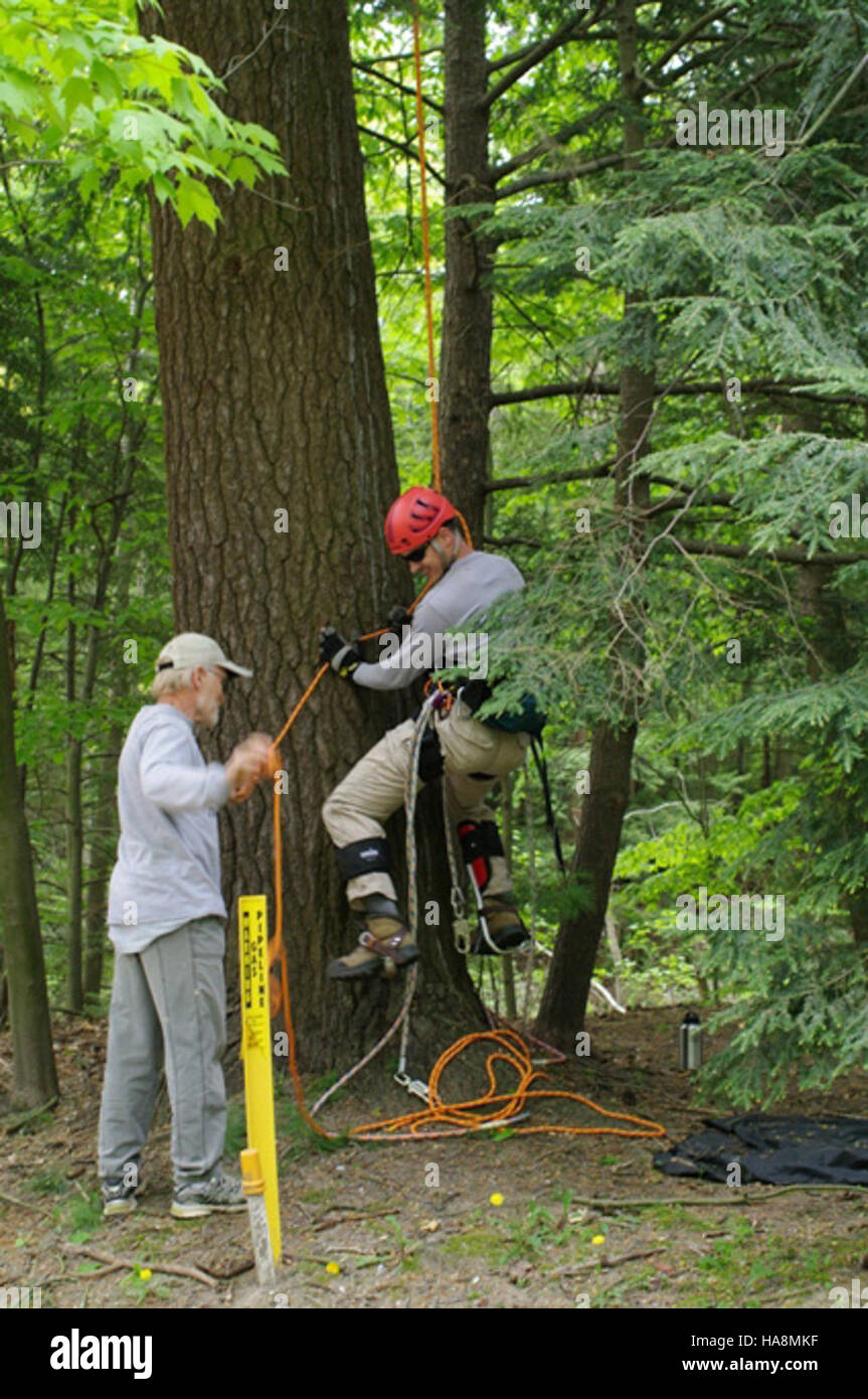 Jeremy moore hi-res stock photography and images - Alamy