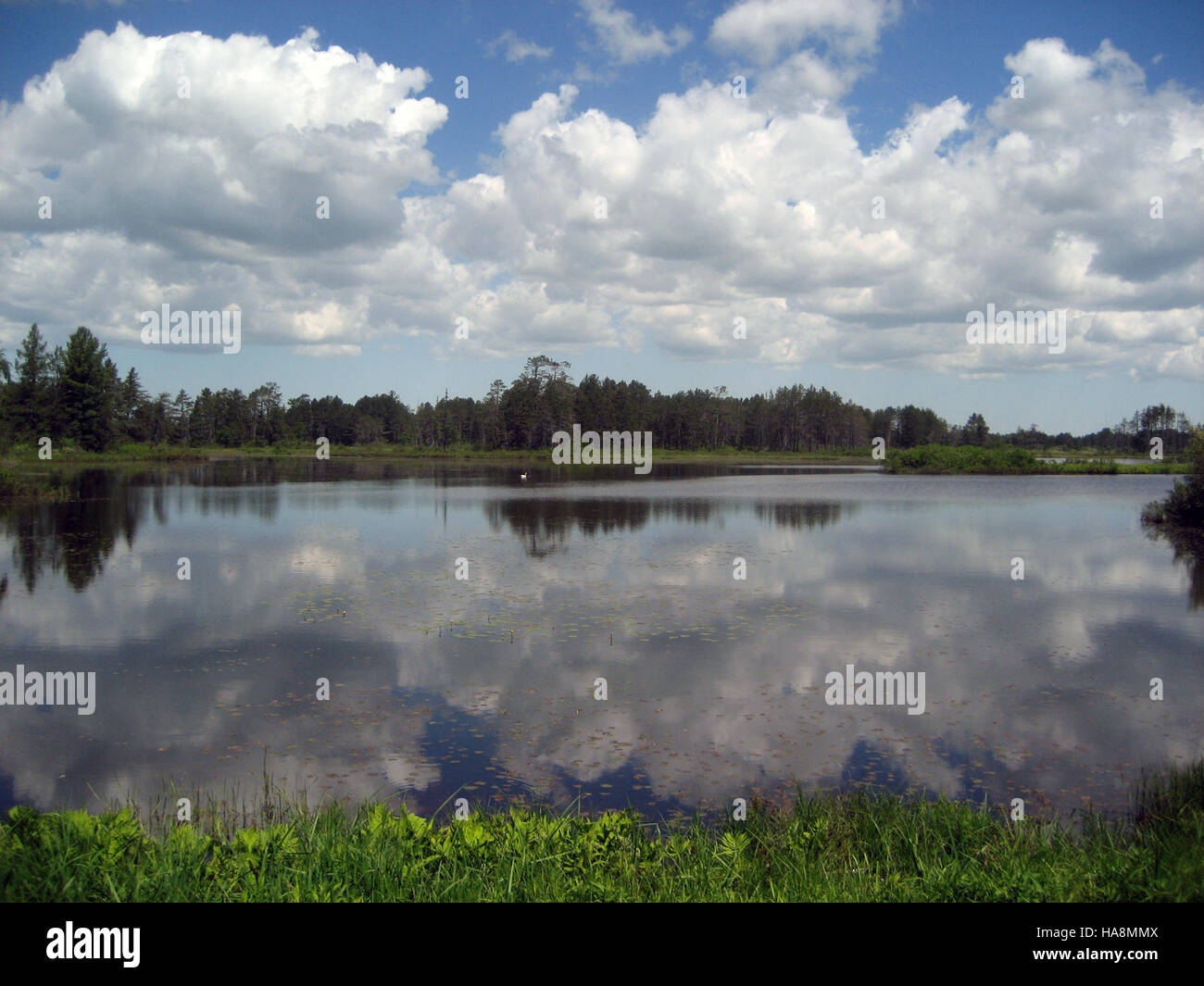 Reflections at Seney National Wildlife Refuge in Michigan show the ...