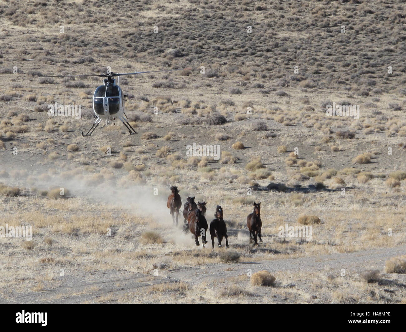 This image captures the Stone Cabin Complex, located in Nevada, part of ...