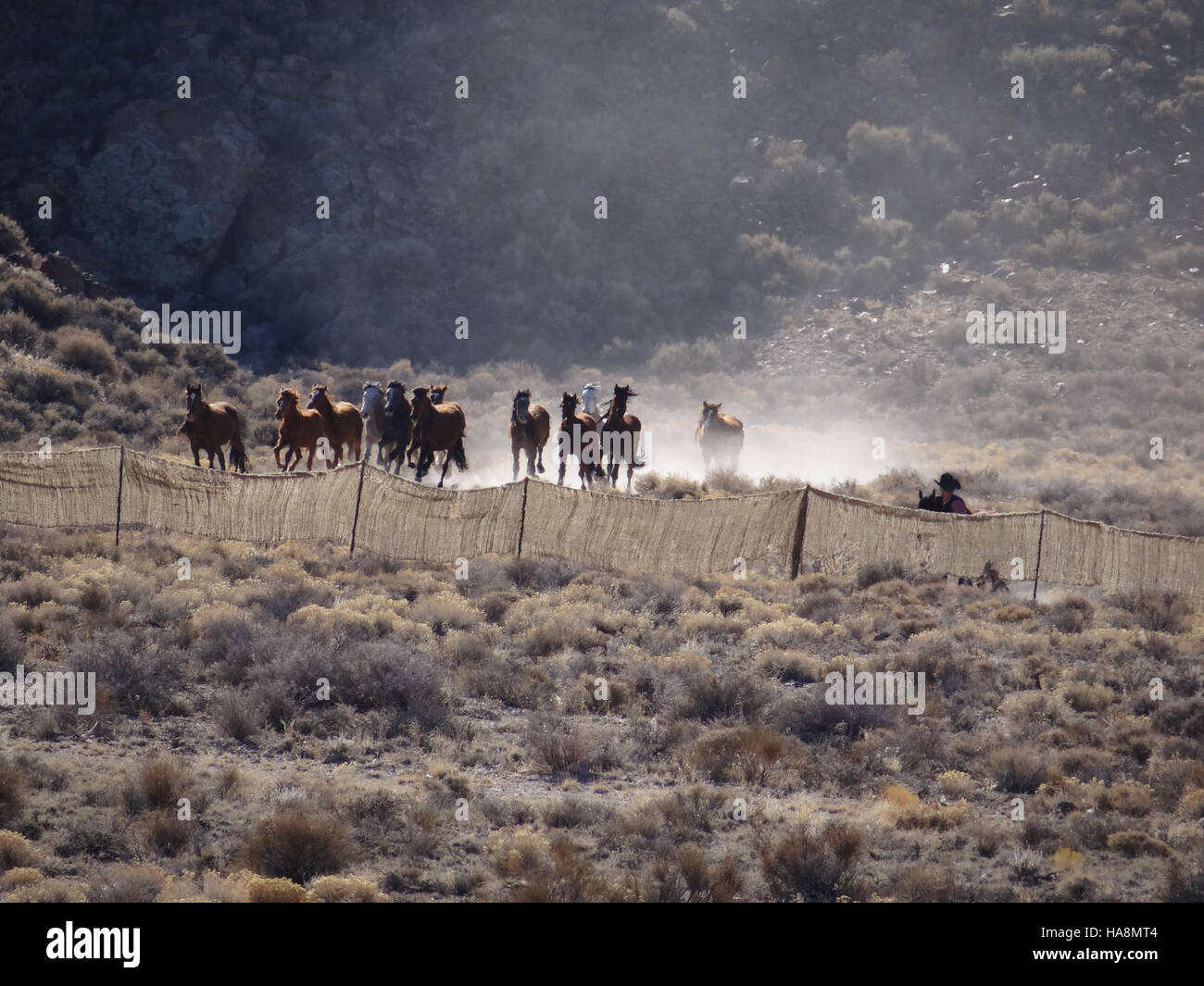 The Stone Cabin Complex, located in Nevada, is a historic site managed ...