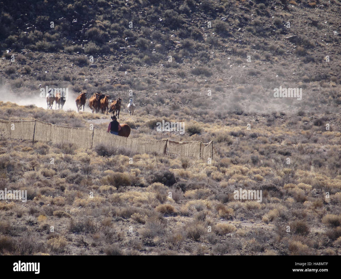 The Stone Cabin Complex in Nevada is part of a Bureau of Land ...