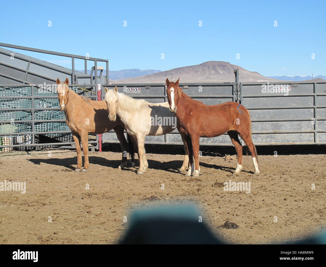 The Stone Cabin Complex in Nevada is a historical site located within a ...
