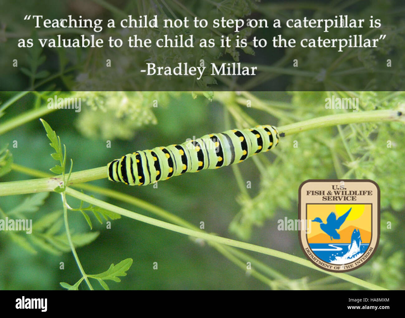 A lesson in wildlife conservation and environmental science learned ...