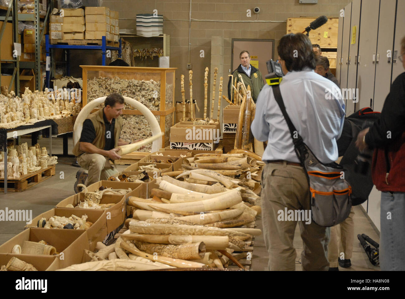 See seized ivory hi-res stock photography and images - Alamy