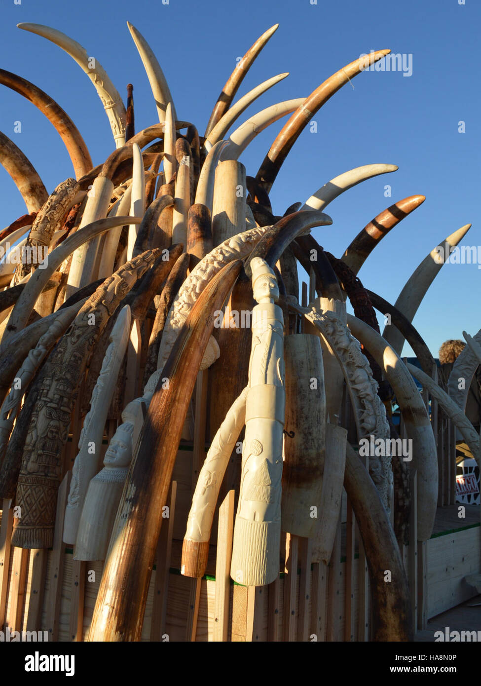 A National Park Service image depicting the Ivory Tusk Tower, a natural ...