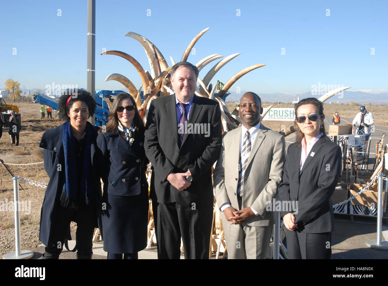 Elephant conservation experts, alongside non-governmental organizations ...