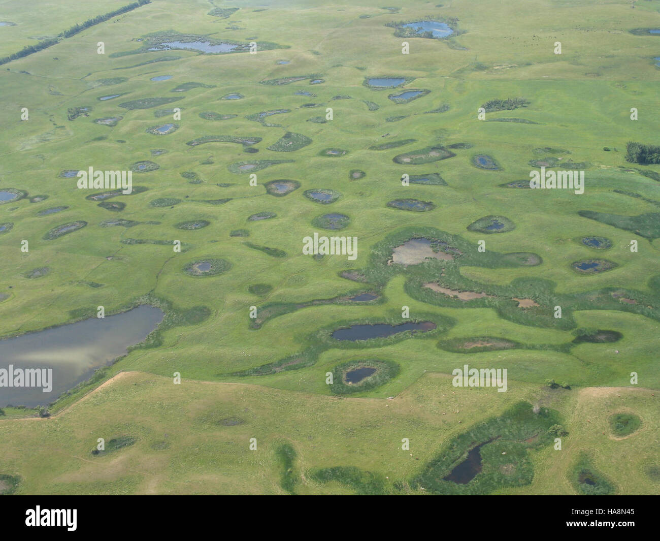 Prairie Potholes provide vital wetland ecosystems in the northern U.S ...