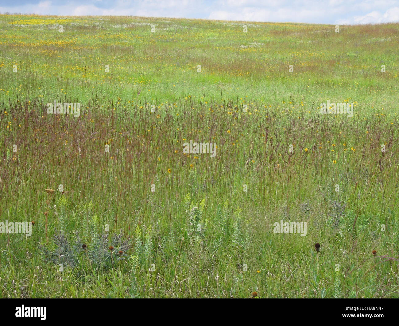 This photograph highlights the diverse ecosystems of national parks ...