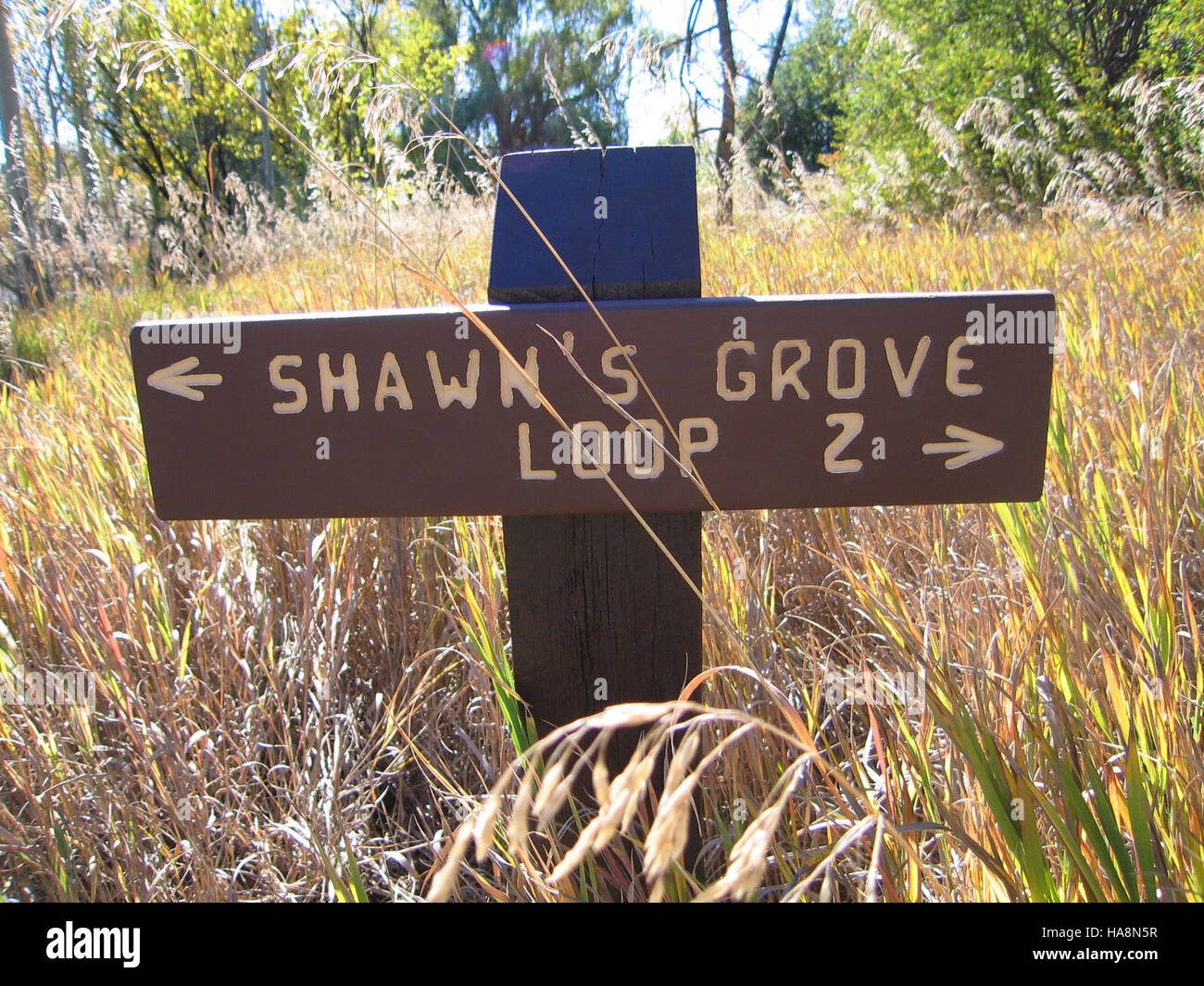 A sign in a national park with the name 'Shawn's Sign' commemorates an ...