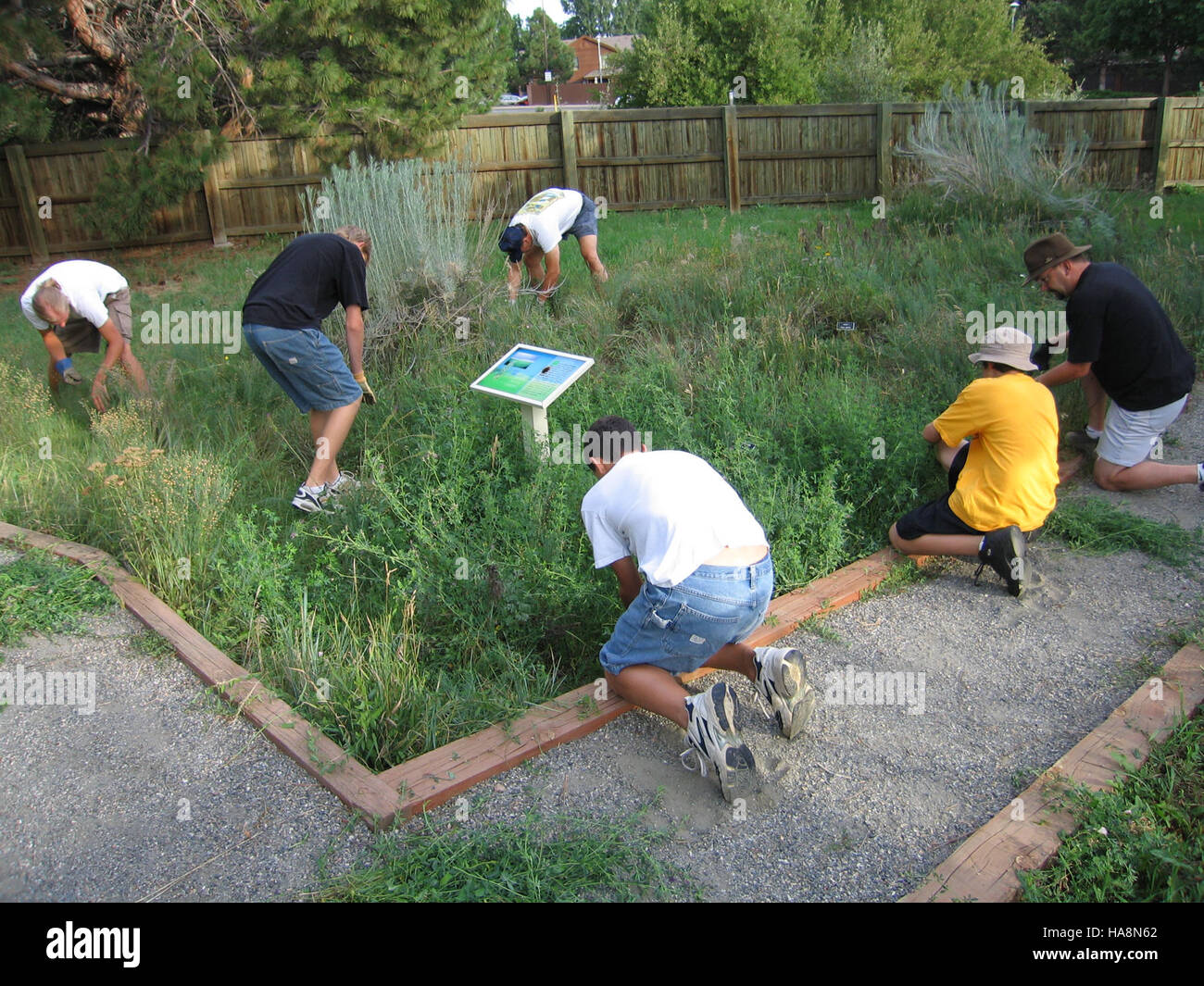 The Eagle Scout Prairie Garden 2 project is part of a conservation ...