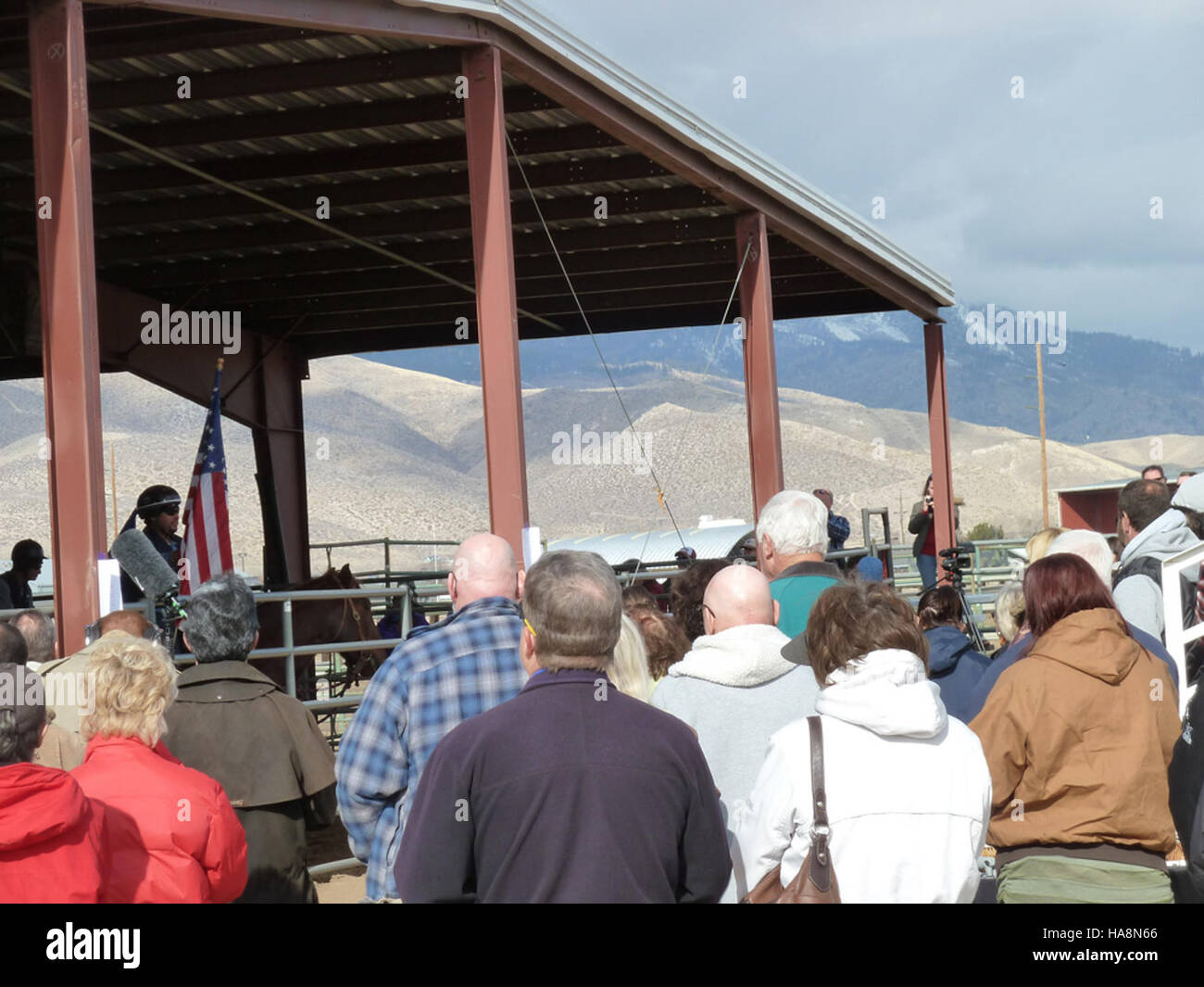 The Bureau of Land Management's wild horse adoption event in Carson ...