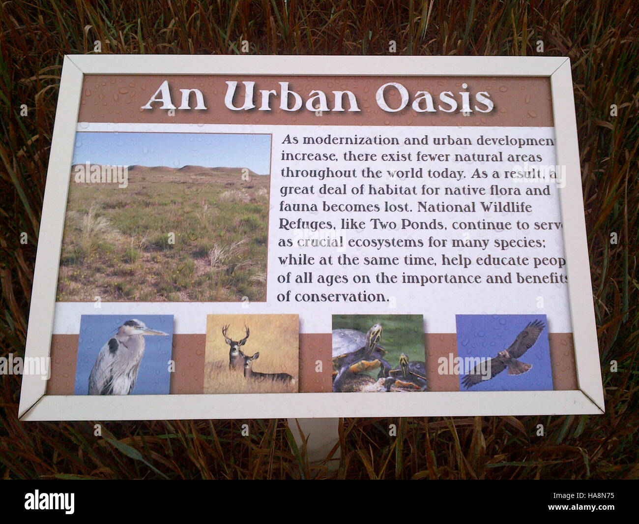 The Urban Oasis sign promotes environmental awareness and conservation ...