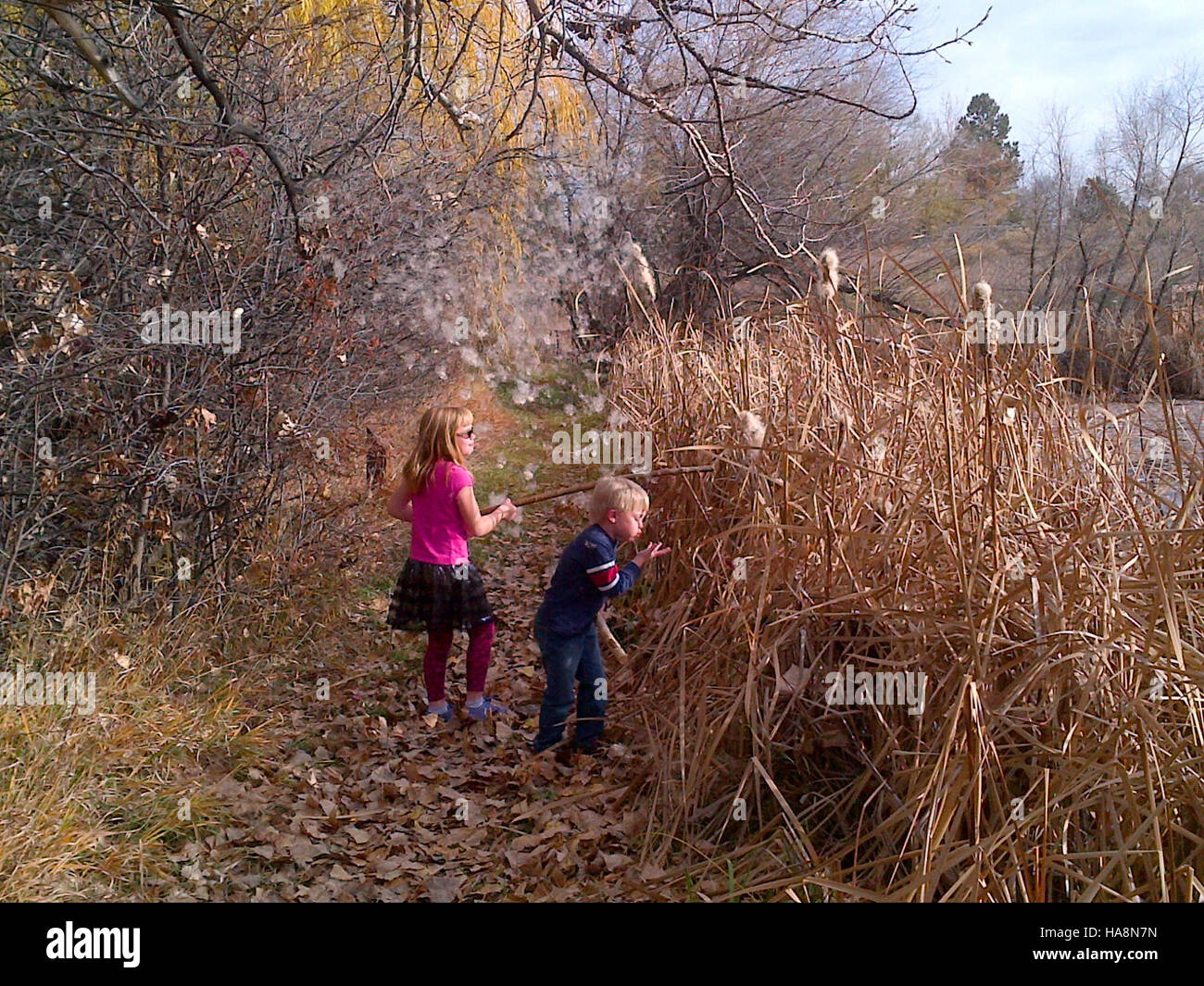 Drop-in Nature Kids programs at national parks encourage youth to ...