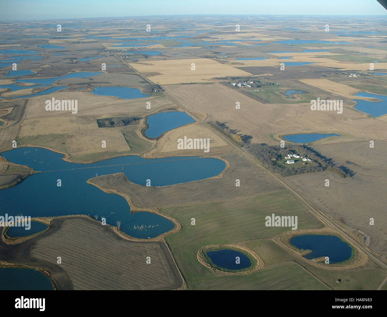 The image documents significant changes within national park ecosystems ...