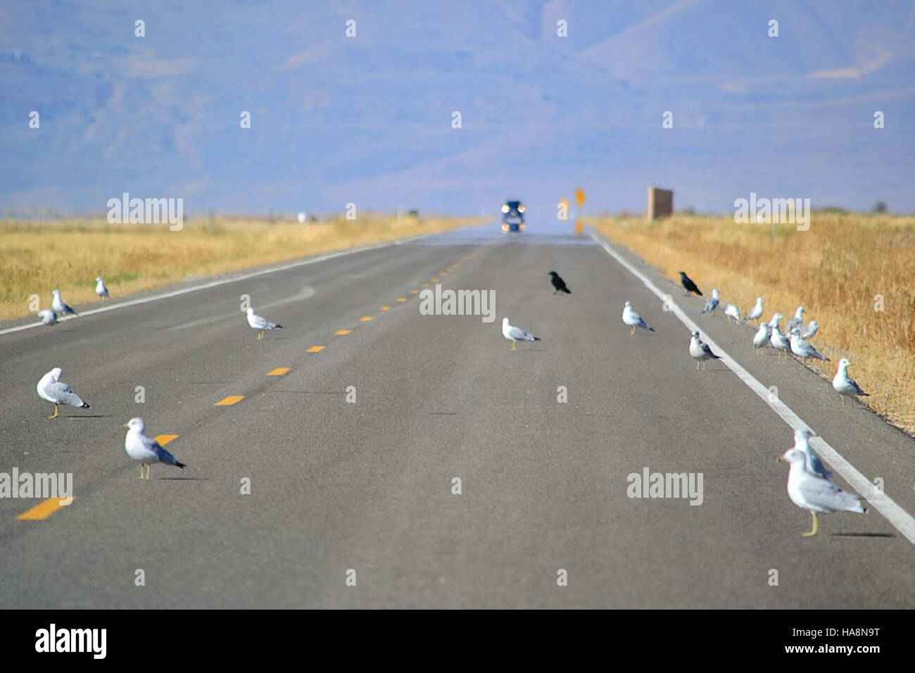 Autoloop hi-res stock photography and images - Alamy