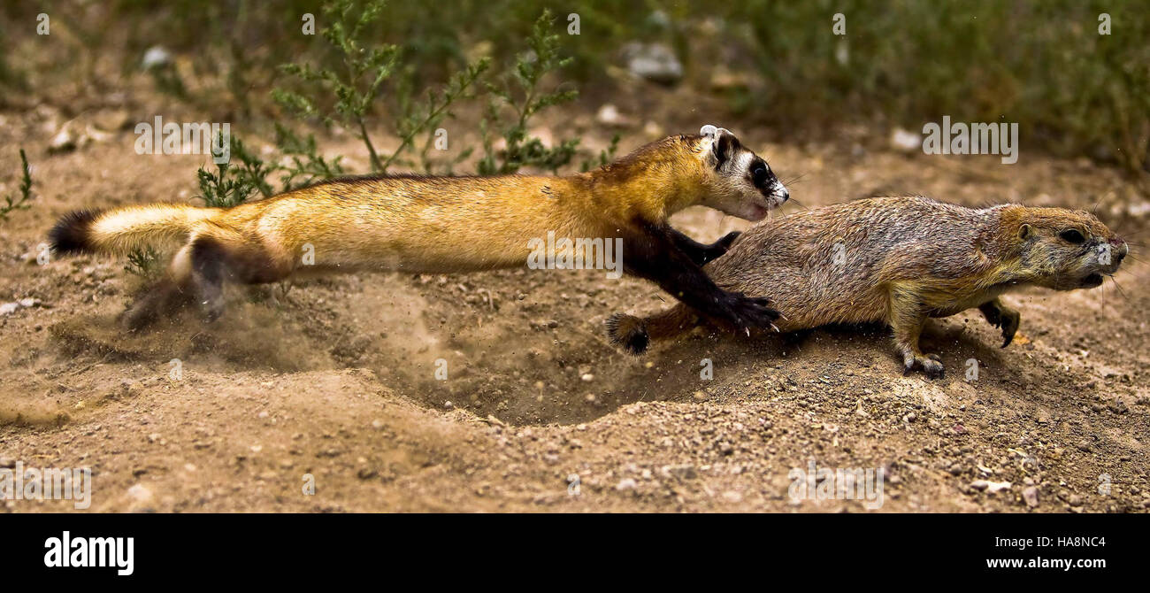 The National Park Service offers programs teaching the fundamentals of ...