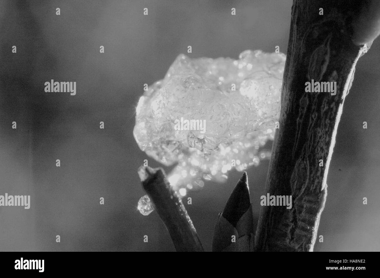 A scenic image of ice formations within a national park, showcasing the ...