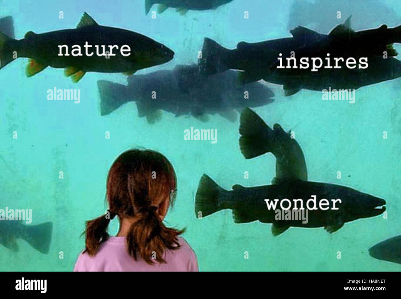 National parks in the Mountain Prairie region inspire awe, showcasing ...