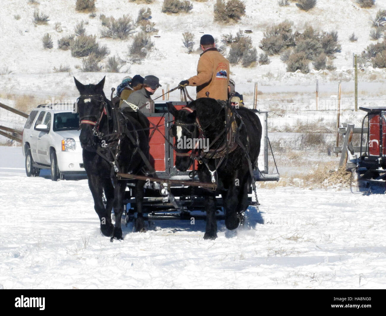 The 'On Their Way' photo captures the beauty of migratory birds as they ...