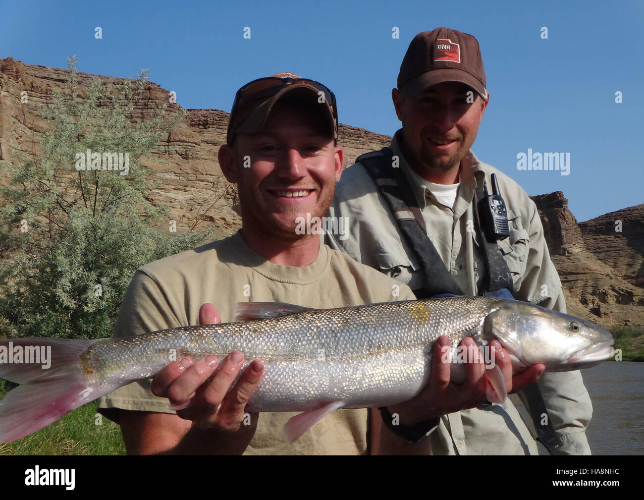 Matt breen hi-res stock photography and images - Alamy