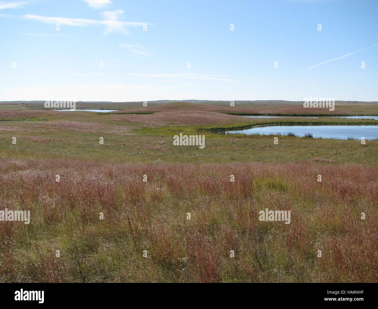 This image shows a scenic view of Prairie National Park, showcasing the ...