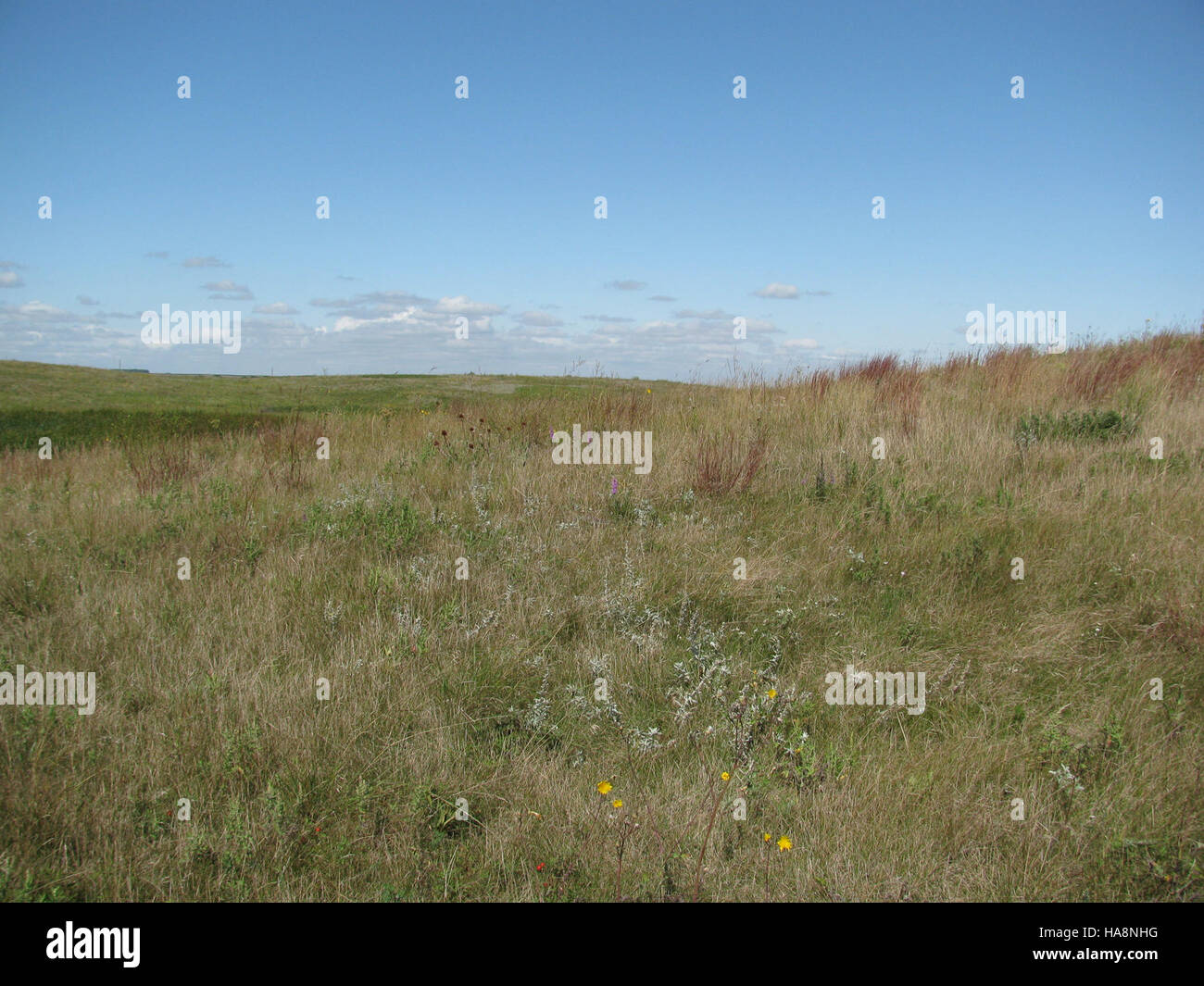 Prairie National Park is part of the U.S. National Park System and ...
