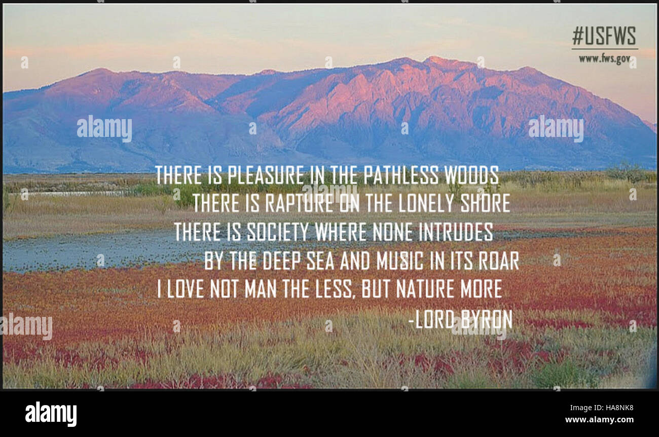 The Bear River Migratory Bird Refuge in Utah serves as a vital stop for ...