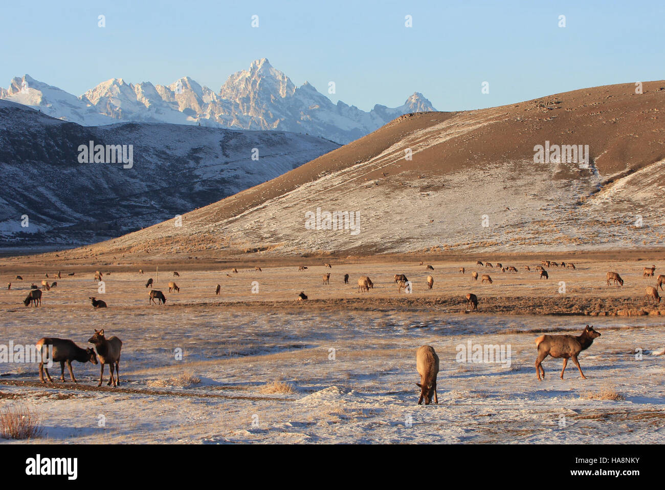 The image captures a serene moment in a national park managed by the U ...