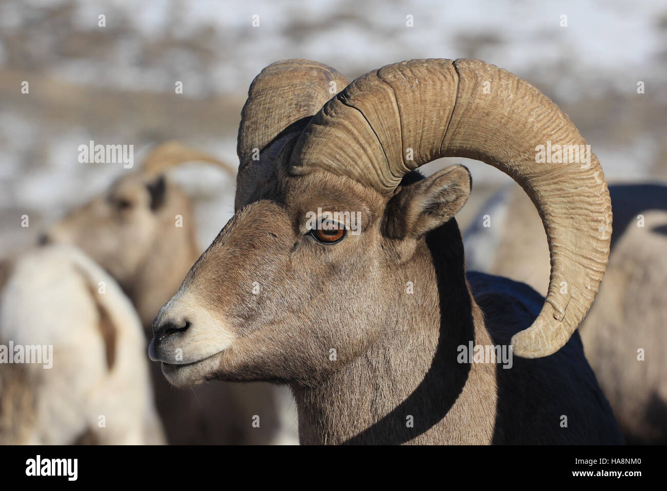 A curved shadow stretches across a national park landscape, captured in ...