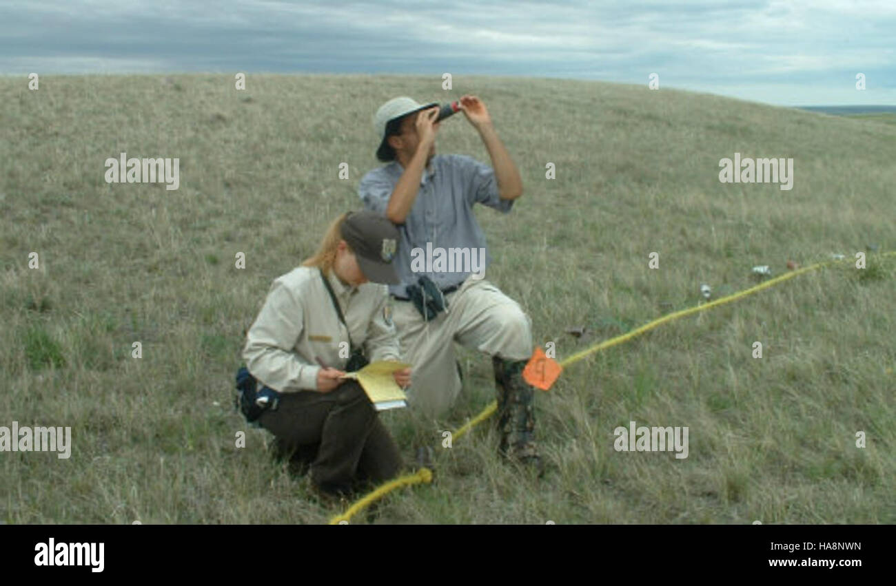 A songbird nesting study in a national park conducted by the U.S. Fish ...