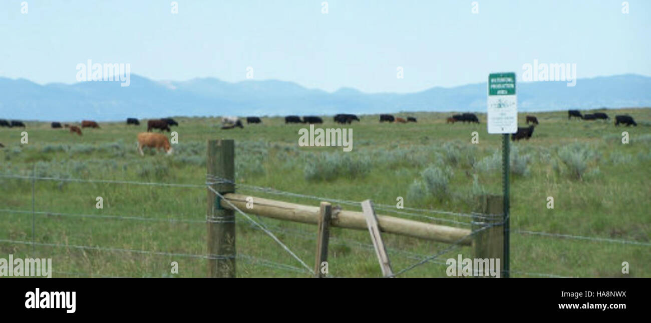 The image shows grazing activity within a national park managed by the ...