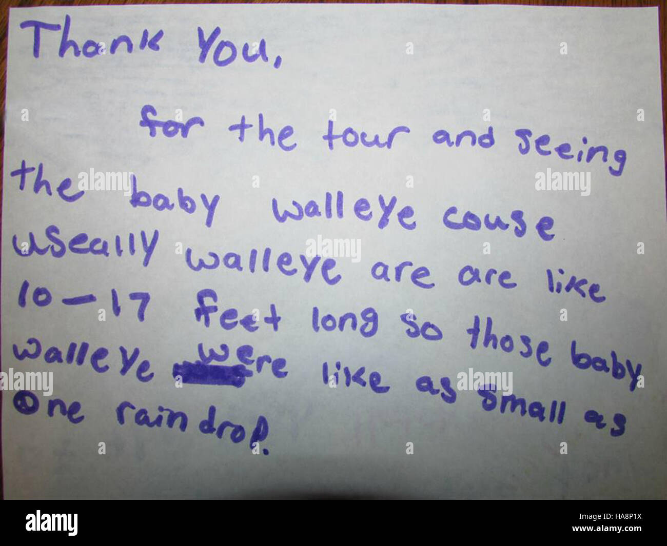 This special note highlights the efforts of the U.S. Fish and Wildlife ...