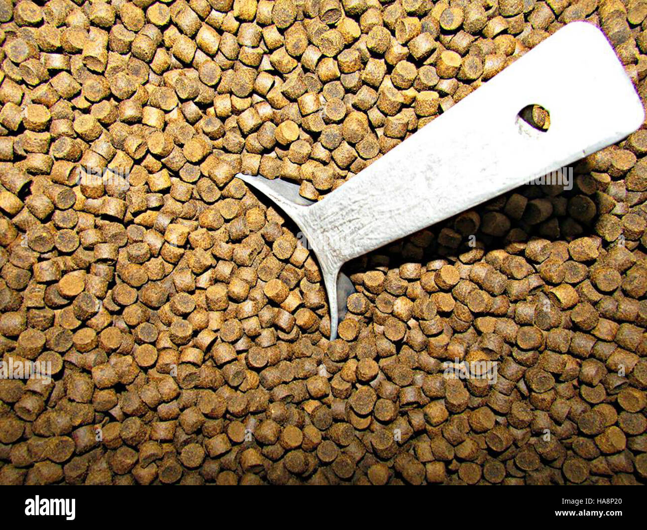 Fish food, a critical component of aquatic ecosystems, supports ...