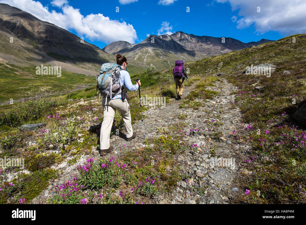 A hiker on a trail from the landing strip in Alaska’s national park ...